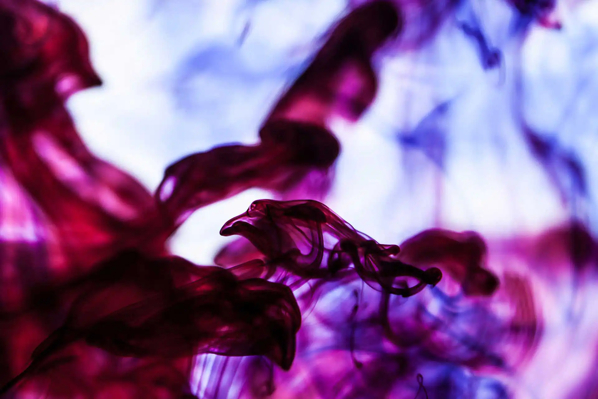 Liquid Ink in The water photography experience | Masoud Raoufi